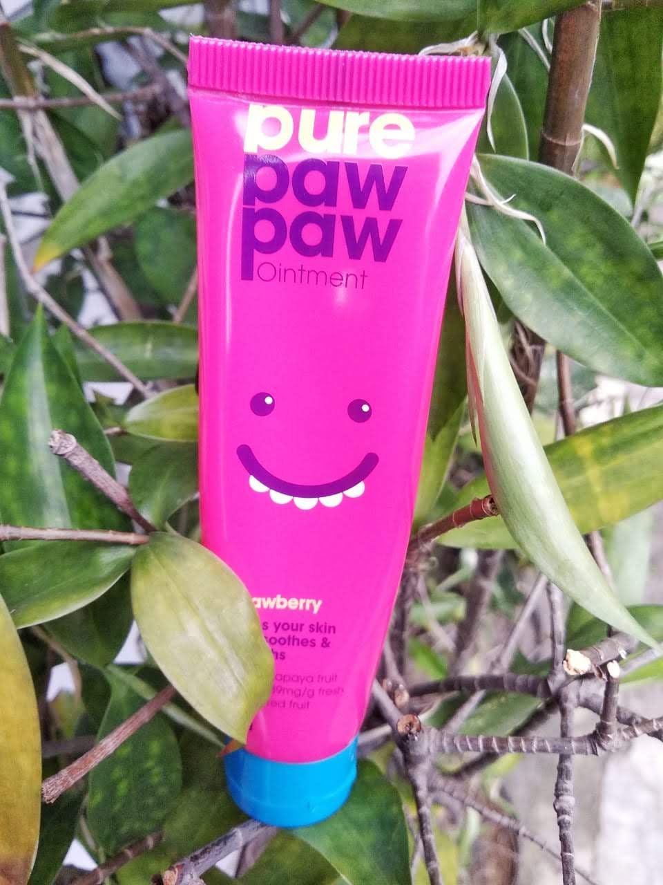 A M A L I A G G I T A .: PURE PAW PAW OINTMENT