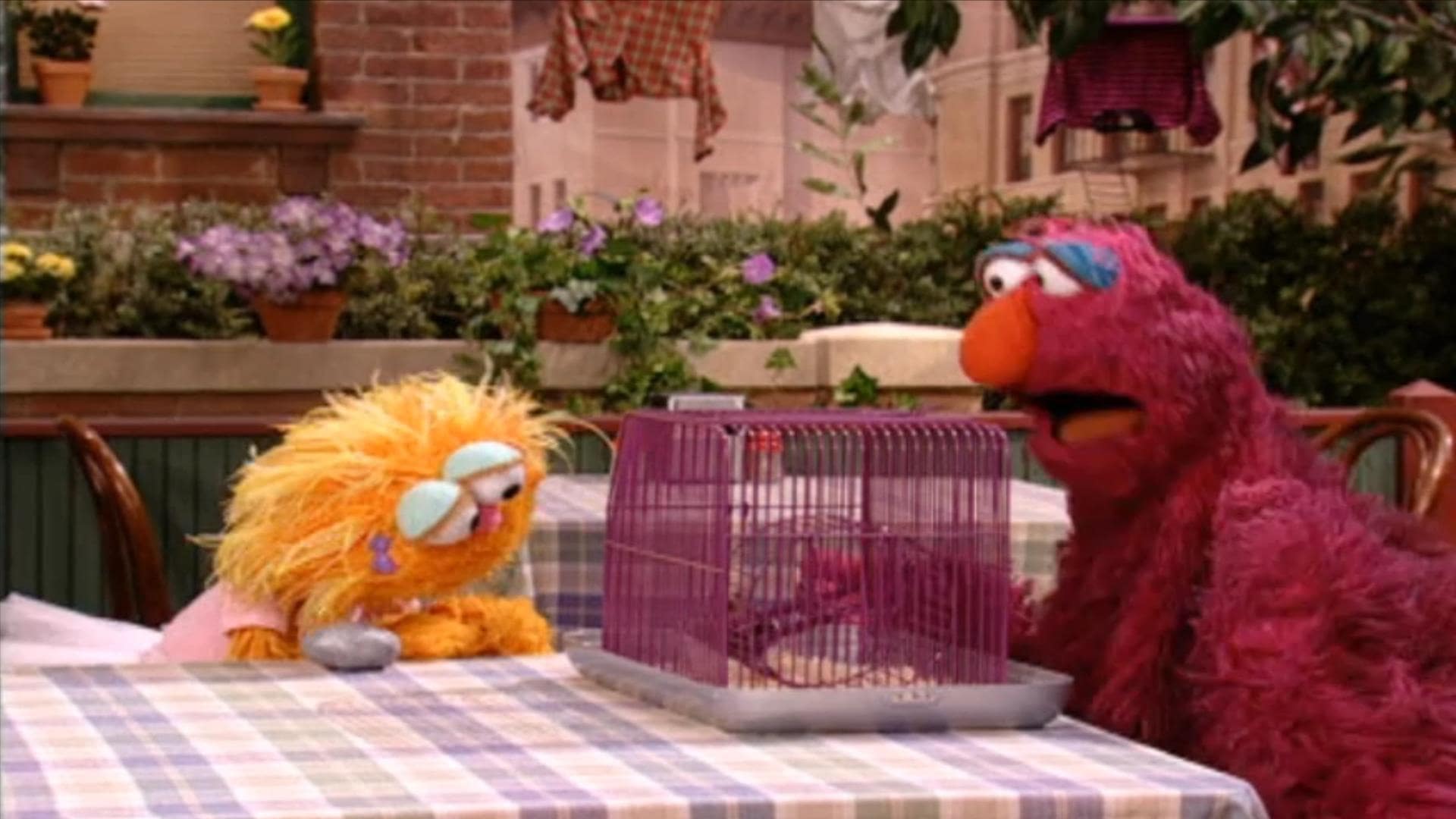 Sesame Street Episode 4058
