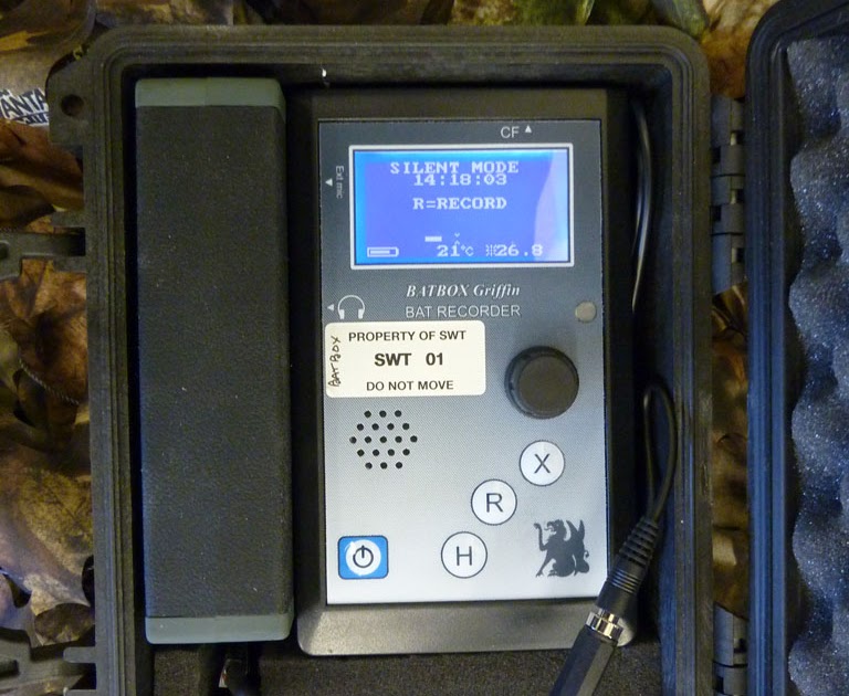 Bat Detector Reviews: The BatBox Griffin - New Firmware, Further ...