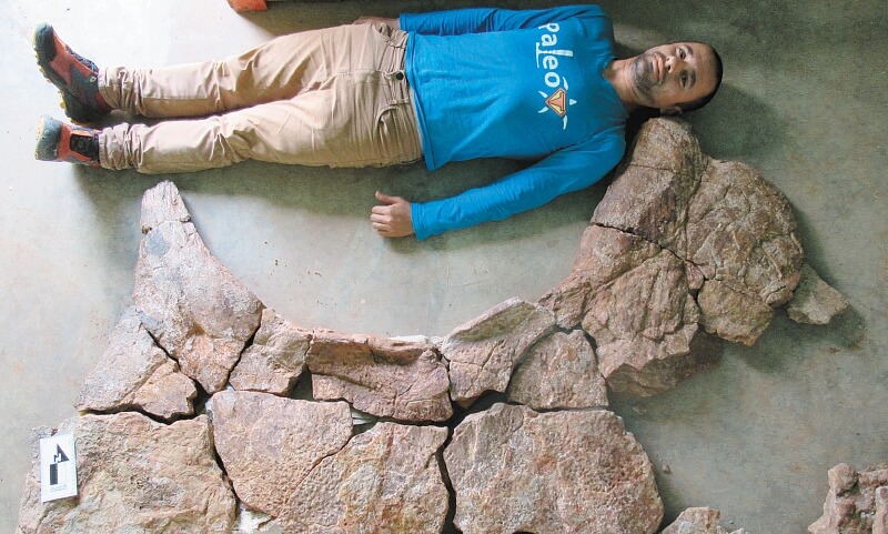 Paleontología en Colombia: Descubiertos en Colombia restos de la ...