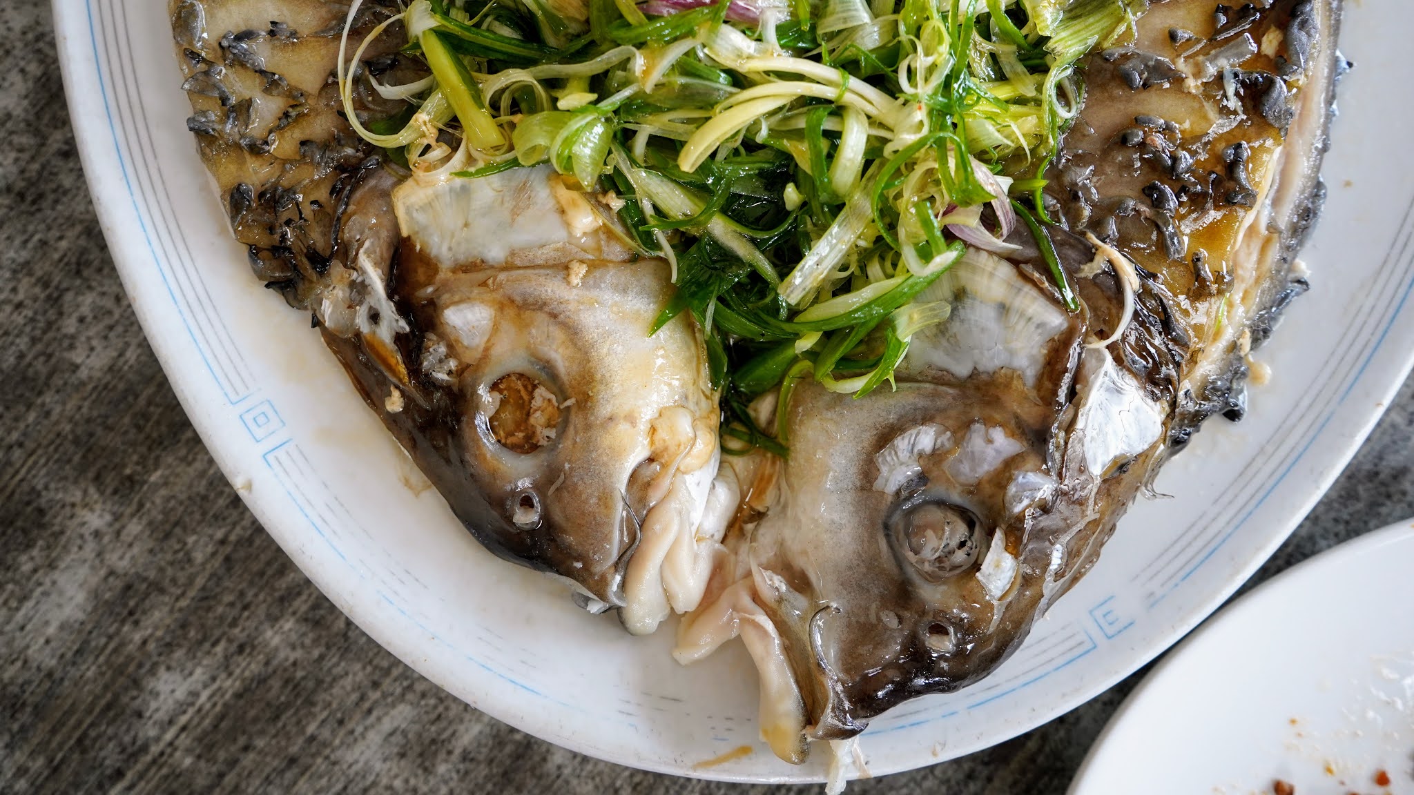 Where to Eat Empurau Most Expensive Unforgettable Fish in Singapore 忘不了 ...