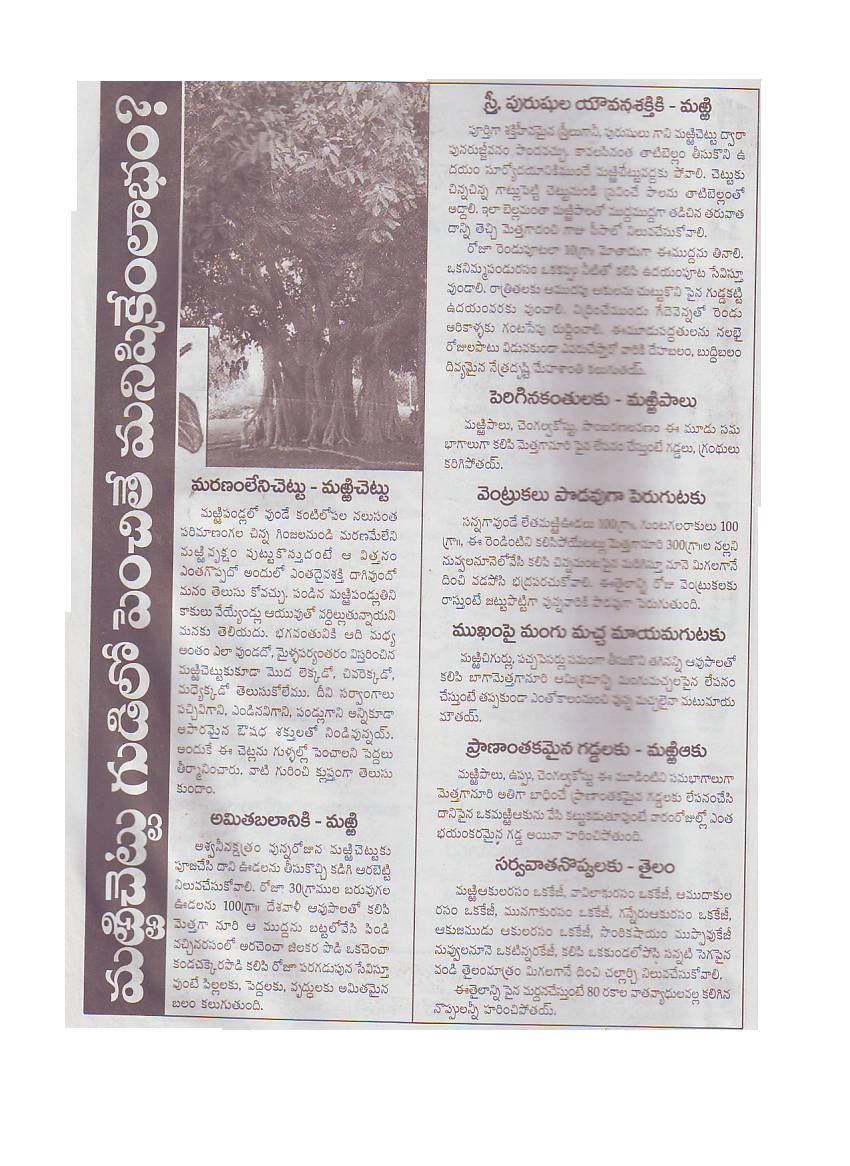 AYURVEDAM - ఆయుర్వేదం: MARRI CHETTU THO AYURVEDA VUPAYOGALU - DR ...