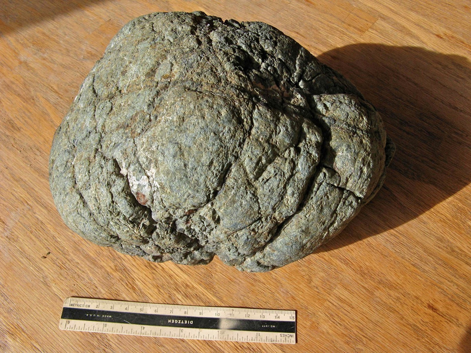 In the Company of Plants and Rocks: A Notable and Mysterious Rock