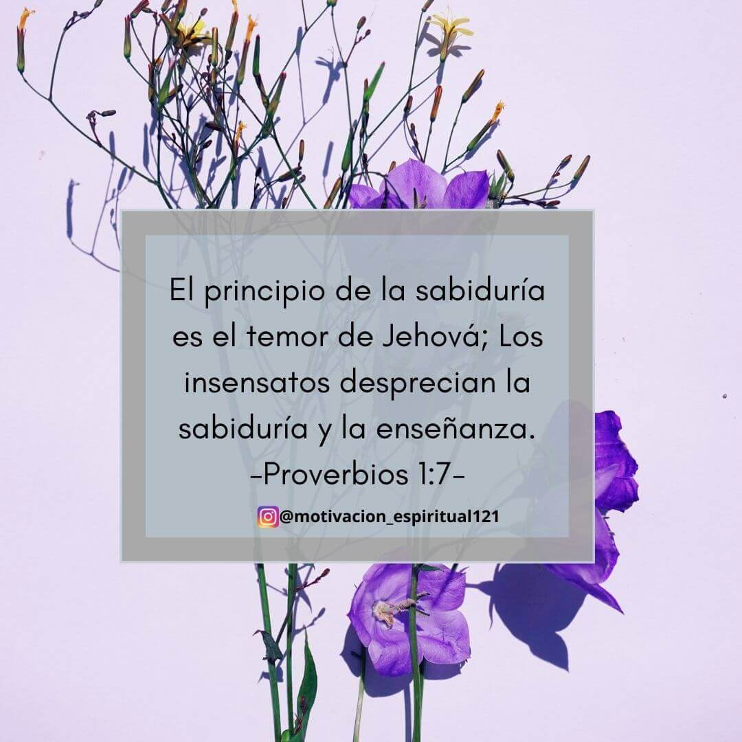 🔜 ¿Qué es la sabiduría de Dios y como obtenerla?; Sabiduría significado ...