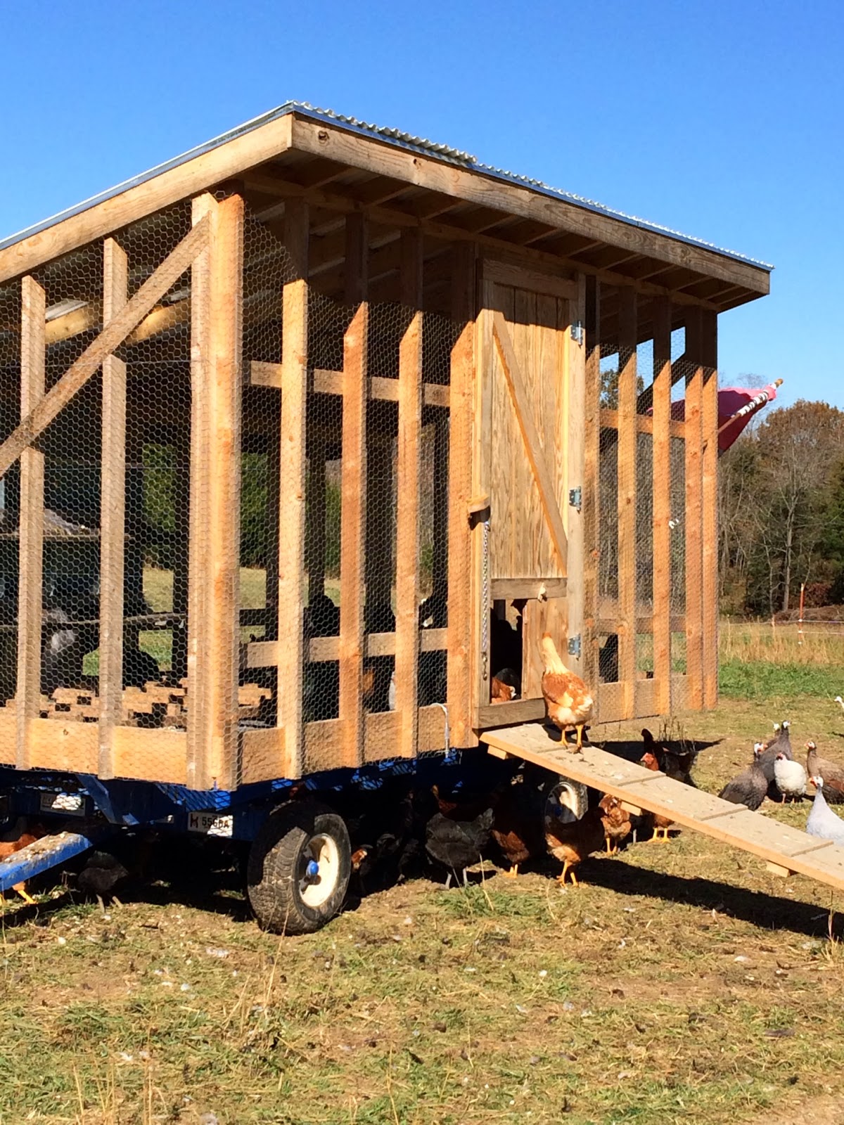 Brooding On: The New Chicken Wagon