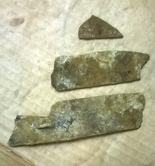 Fort St. Joseph Archaeological Project: 101 Activities Around a Hearth