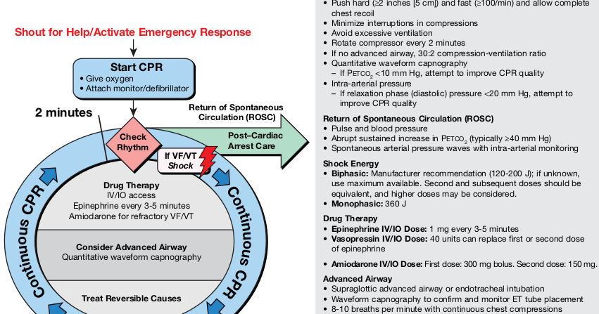 Absorb Medicine: AHA 2010 ACLS Algorithm