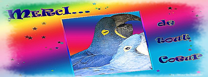 Poème ,Amour, Poésie et Citations 2020: sms pour dire merci a un ami