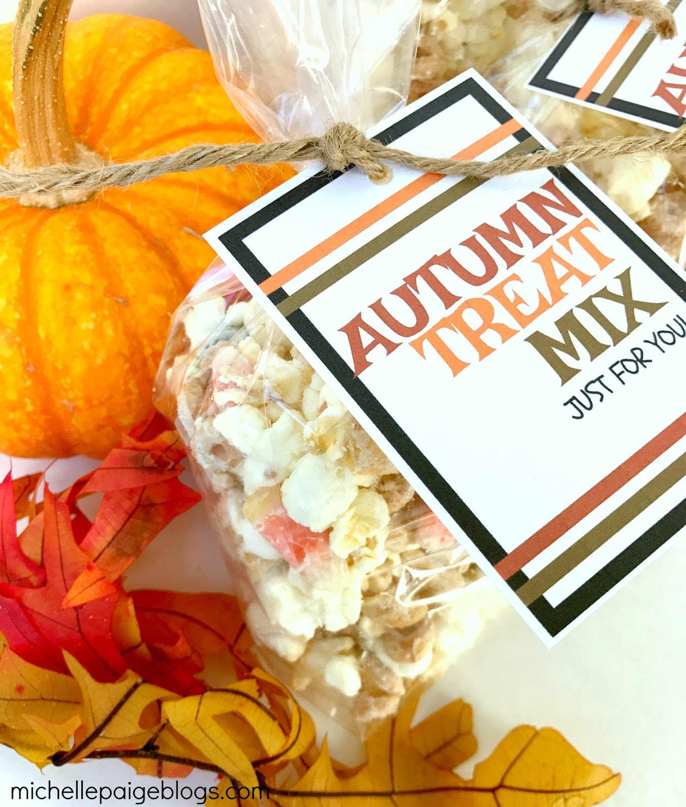 michelle paige blogs: Autumn Treat Mix with Printable Tag