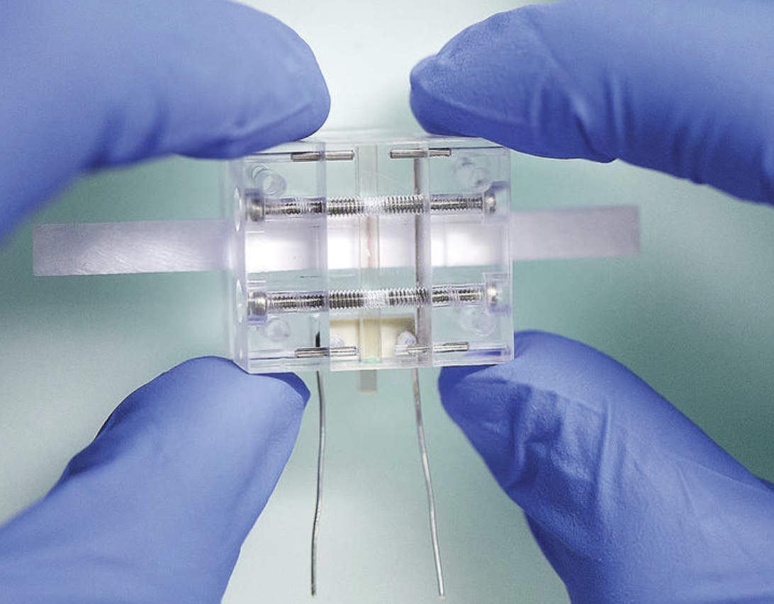 Fast, sensitive blood tests for use at home