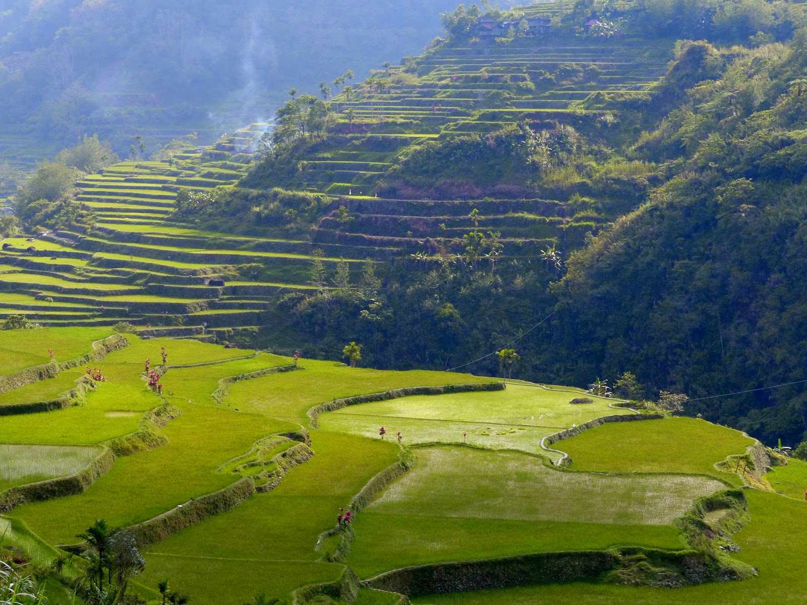 Ievunia and Mariushki in the Tropics: March 2014