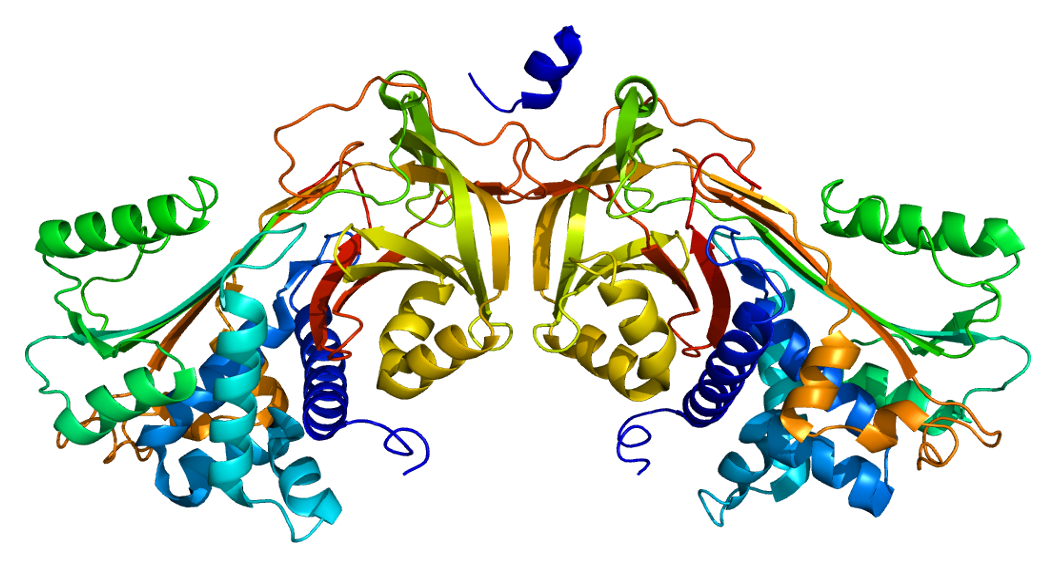 La flexibilidad de la proteína HLA B57 evita el desarrollo del VIH ...