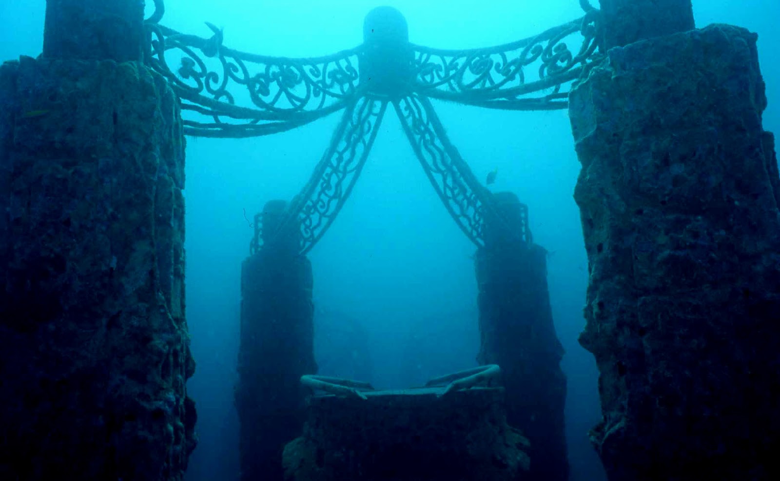 Report from the Florida Zone: Underwater Cemetery