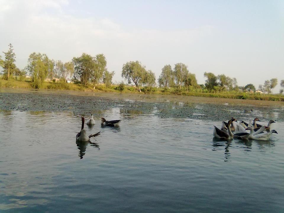 ultimate: Tourist Places in Surkhet