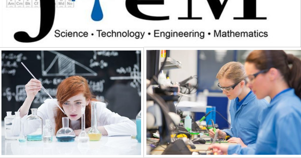 Insight on STEM's Work Immersion: Insight on STEM's Work Immersion