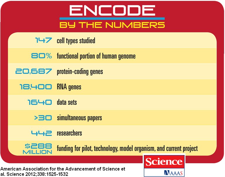 Sandwalk: Science Magazine Chooses ENCODE Results as One of the Top Ten ...