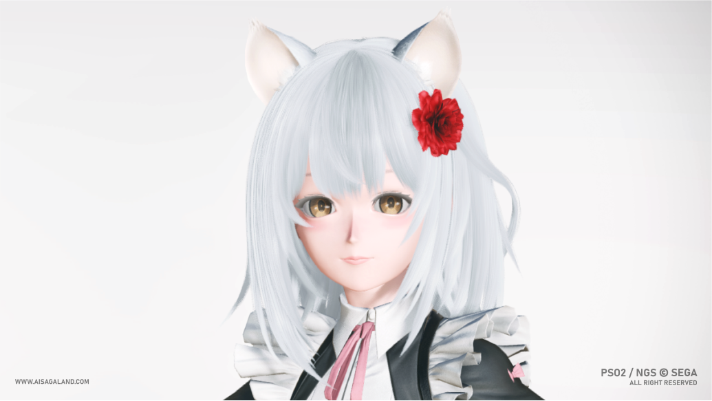 PSO2 NGS Character Creation - Custom #16 - Aisaga Land