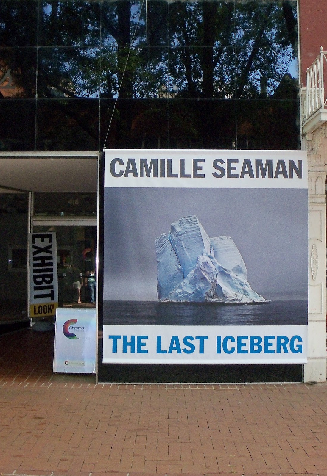 Peonies and Paint: Building Your Collection: 20x200