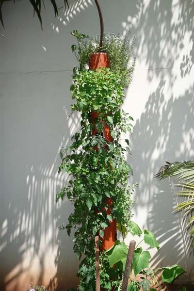 10 Unusual Flower Container Ideas For Garden [Cheap Plant Container]