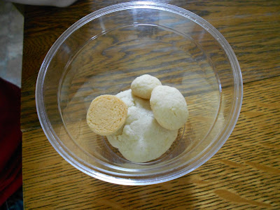 Almost Unschoolers: Soil Horizon Pudding Parfait