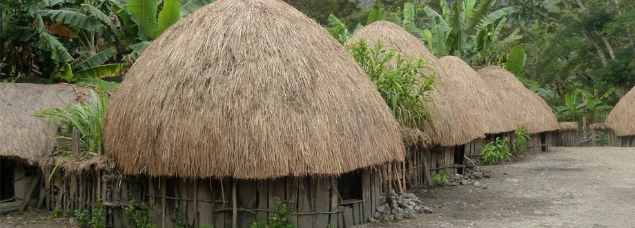 Hey, it's Nova!: Arsitektur Rumah Adat Honai