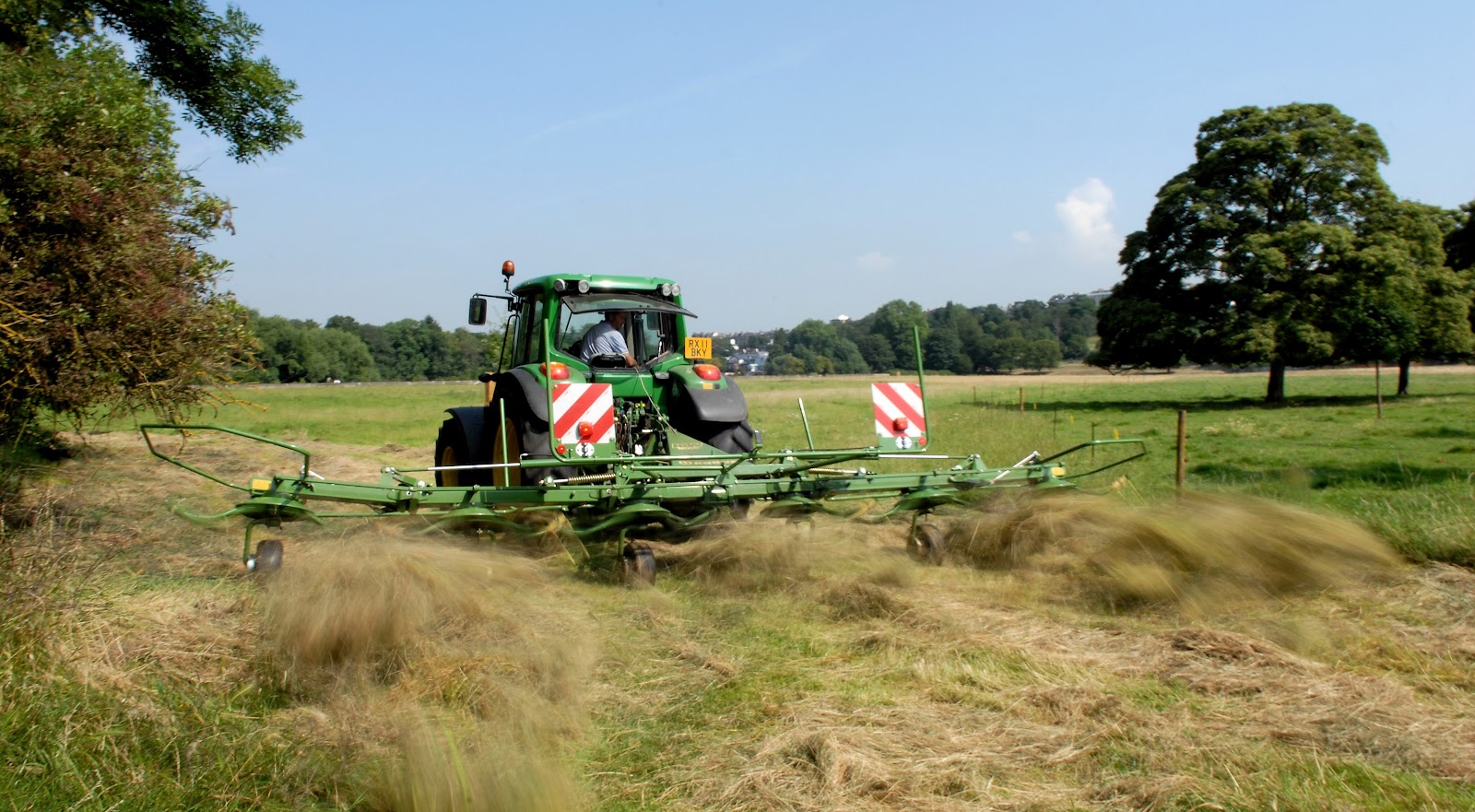 Petersham Meadows: August 2012