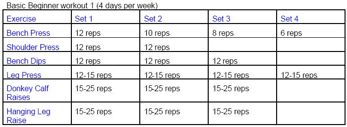6 Day Bodybuilding Workout Schedule Pdf | EOUA Blog