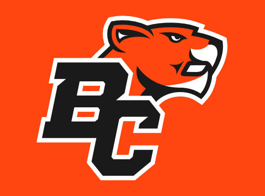 From the Sox Drawer - BC Lions - Concepts - Chris Creamer's Sports ...