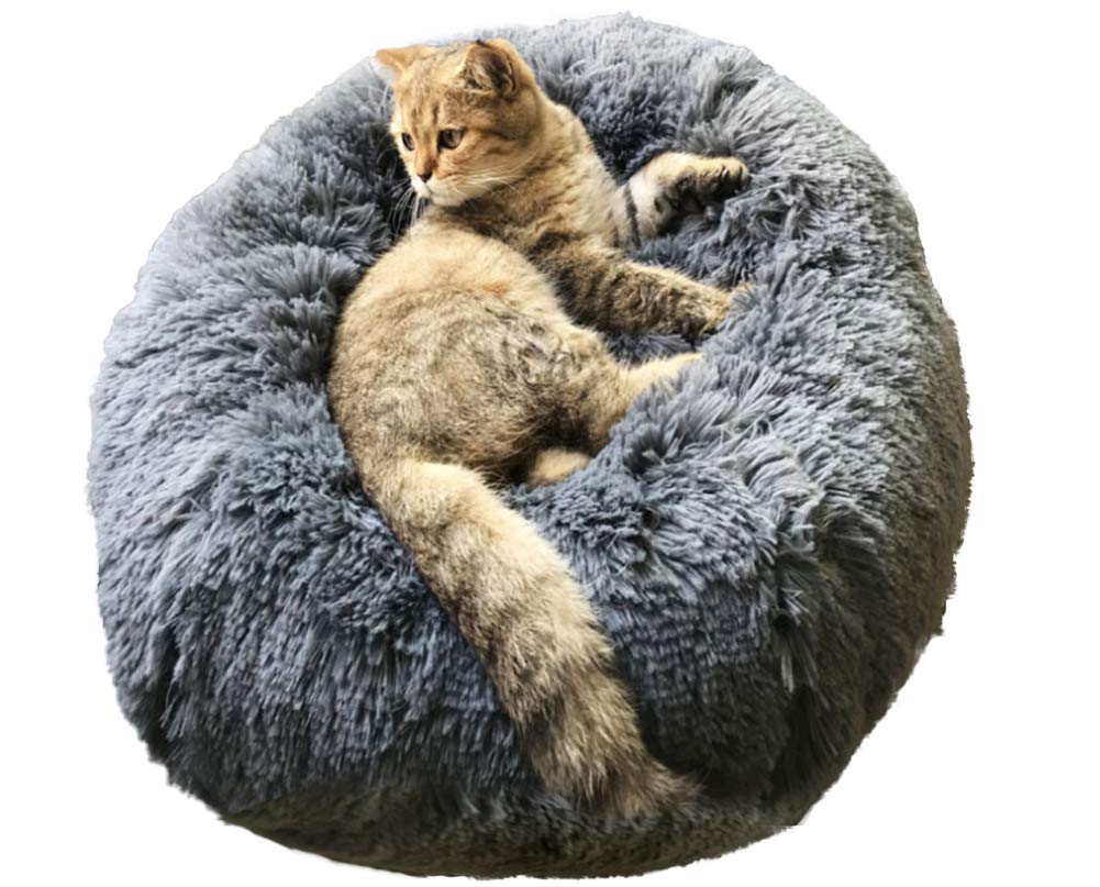 The Best Christmas Gifts for Cats