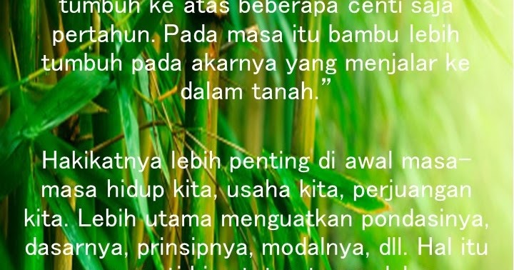 Kata-Kata Bijak Folosofi Bambu | AJP Creations