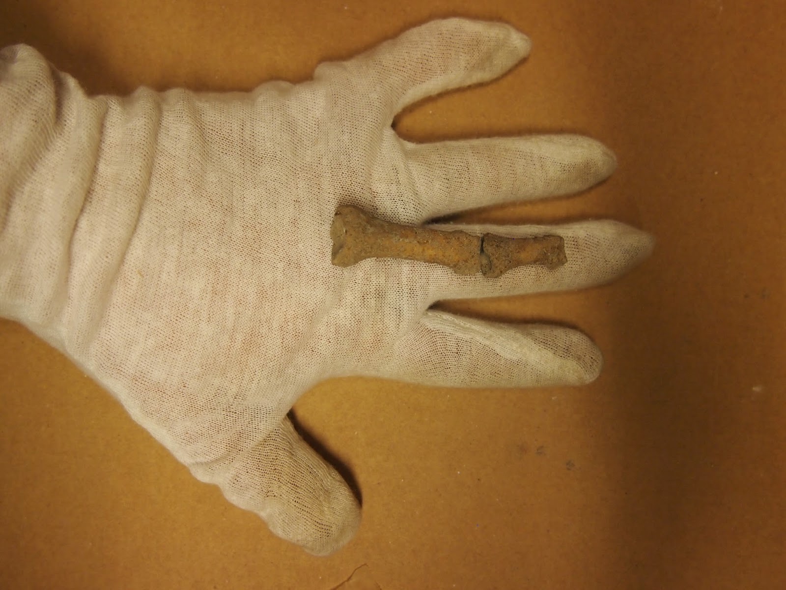 Kenen sormi jäi kellariin? | Uusi Suomi Puheenvuoro