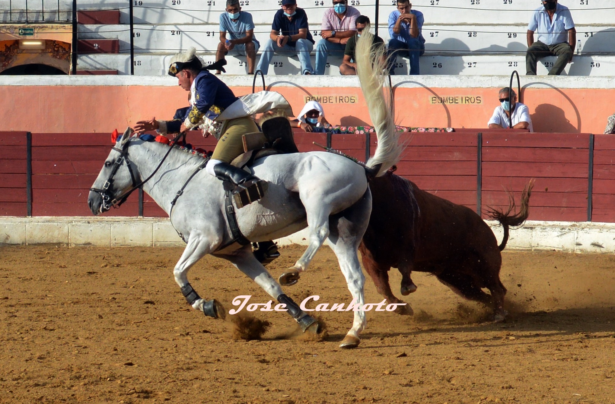 Farpas Blogue: Reportagem de José Canhoto: a sequência da colhida de ...