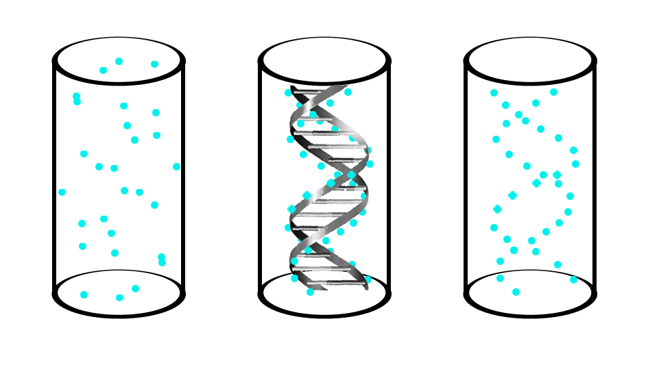 OKTANA: Phantom DNA & Ether - Einstein reborn!