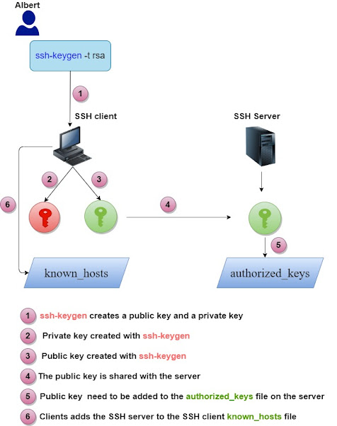 Linux 101 : SSH (The Secure Shell) - scp, ssh-keygen