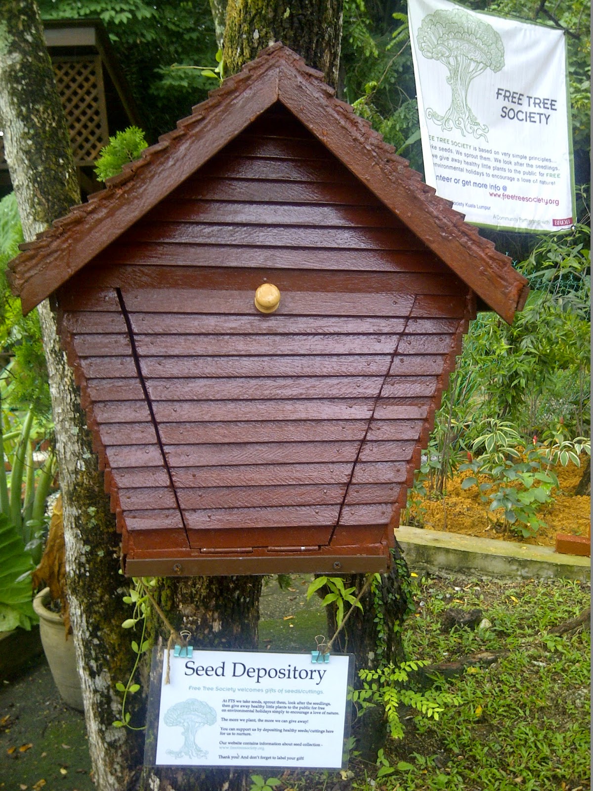 MNS Green Living: The Free Tree Society of Kuala Lumpur