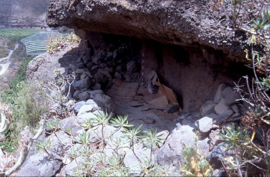 Mi Gran Canaria: ROQUE, SAN (LAS PALMAS DE GC)