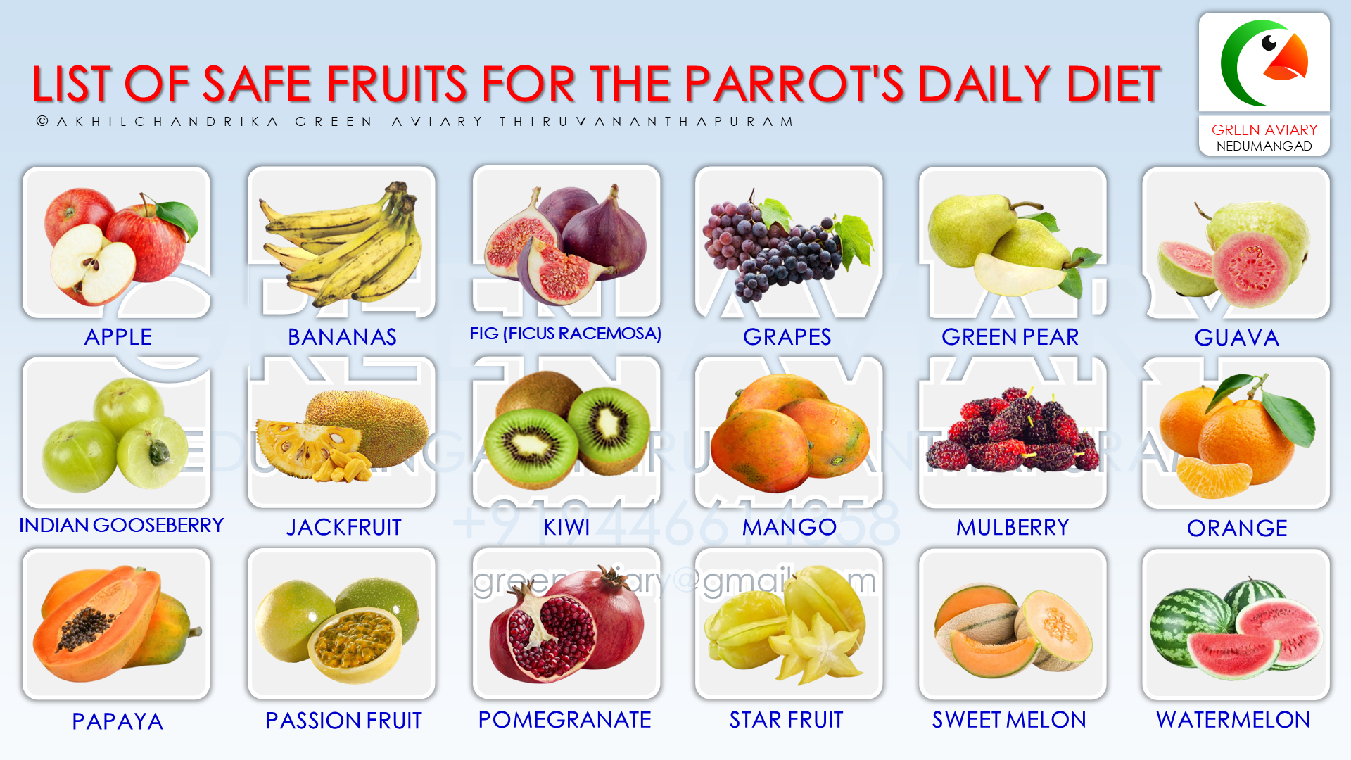 List Of Safe Fruits For The Parrots Daily Diet