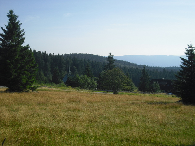 Der Schwarzwald und seine Natur: Kandel, der höchste Berg des Mittleren ...