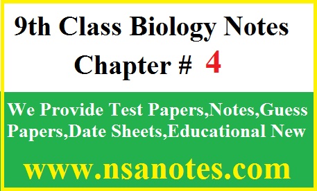 9th Class Biology Notes Chapter 4 Cells & Tissues