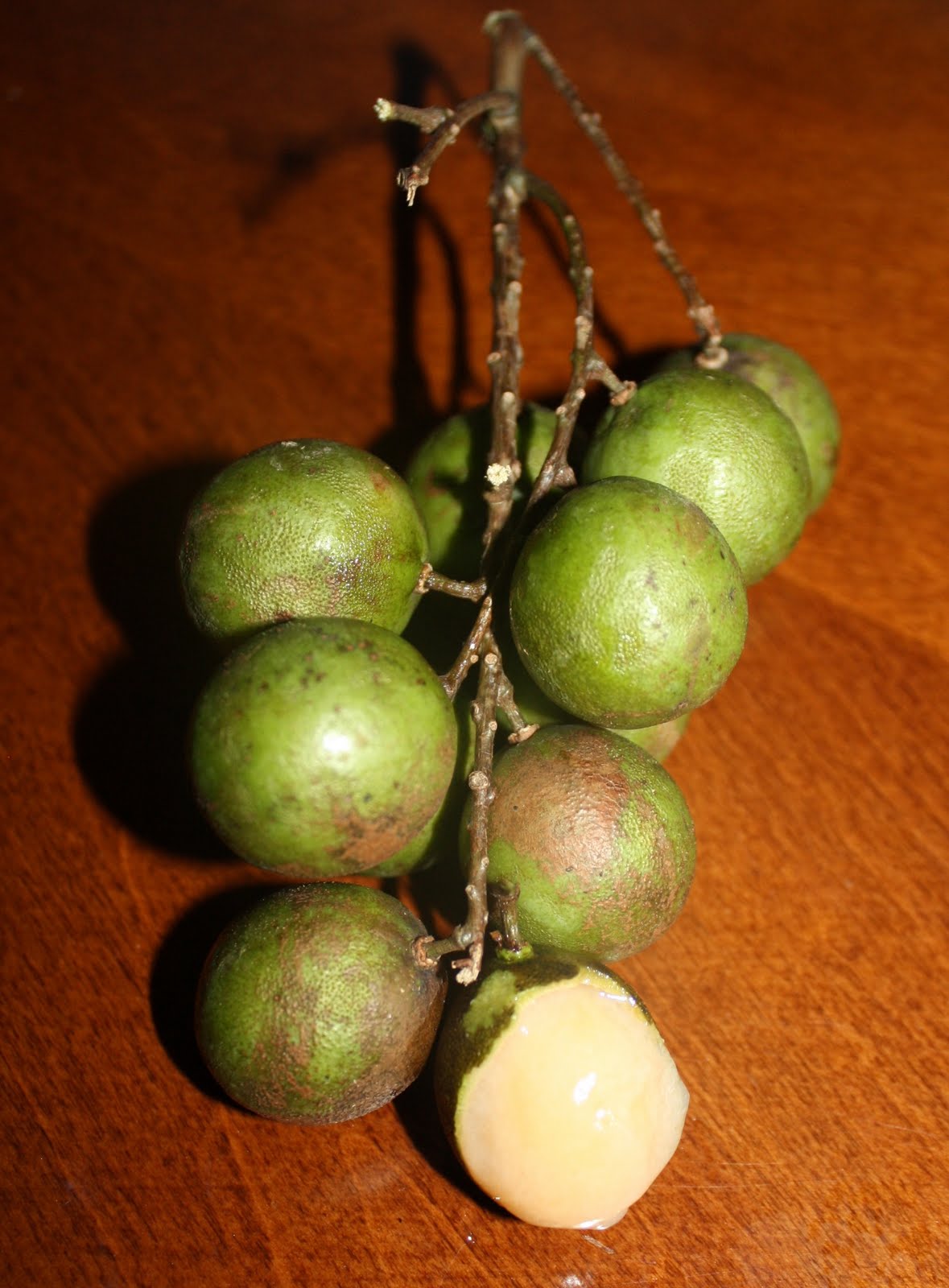 the great fruit hunt