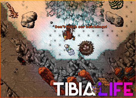 #SU19 Artigo do Mês/Teaser 2: Bem-vindos a Kilmaresh - Tibia Life