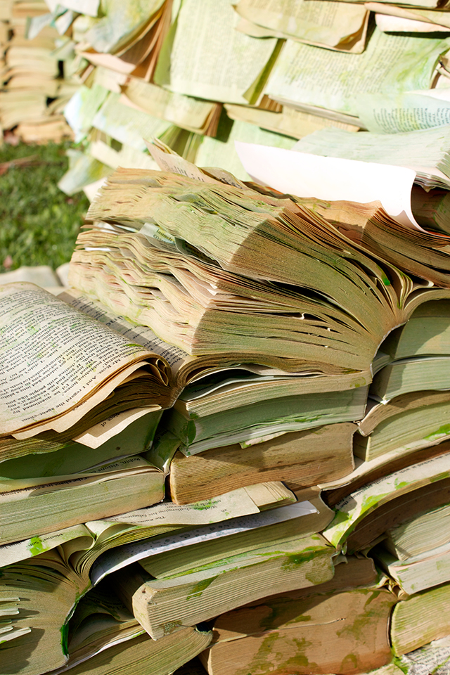 Jules Madden: Out & About: Too Many Words Local Art Sculpture