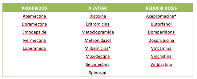 ¿Qué es el gen MDR-1?