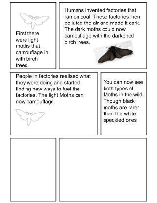 Year Six: The Evolution of the Peppered Moth