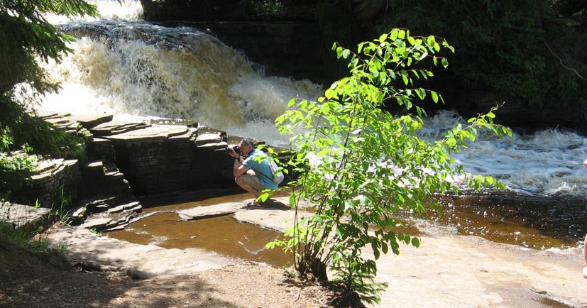 Experience Michigan's Paradise: Tahquamenon River