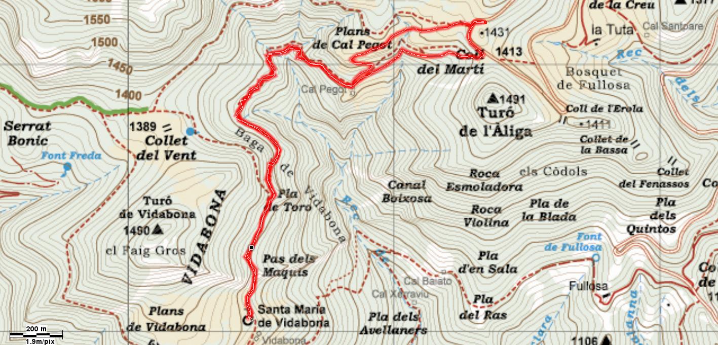 TUPINAIRES CAMINAIRES POCA PENDENT: CAMINADES PER EL RIPOLLES (15)