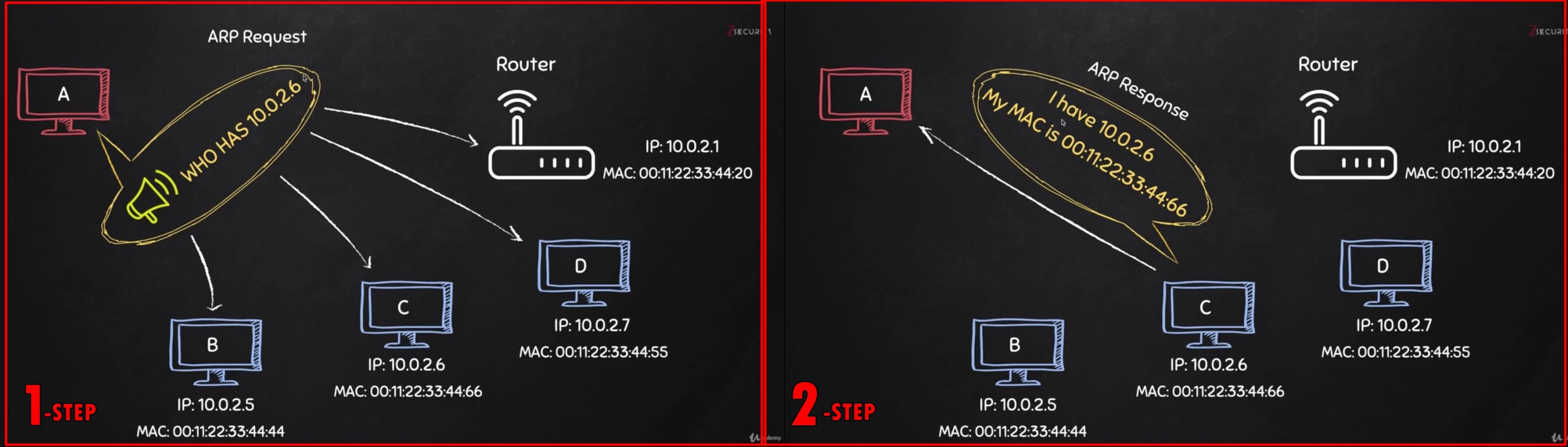 PROGRAMMING A NETWORK SCANNER/ARP PROTOCOL | CodeSempai