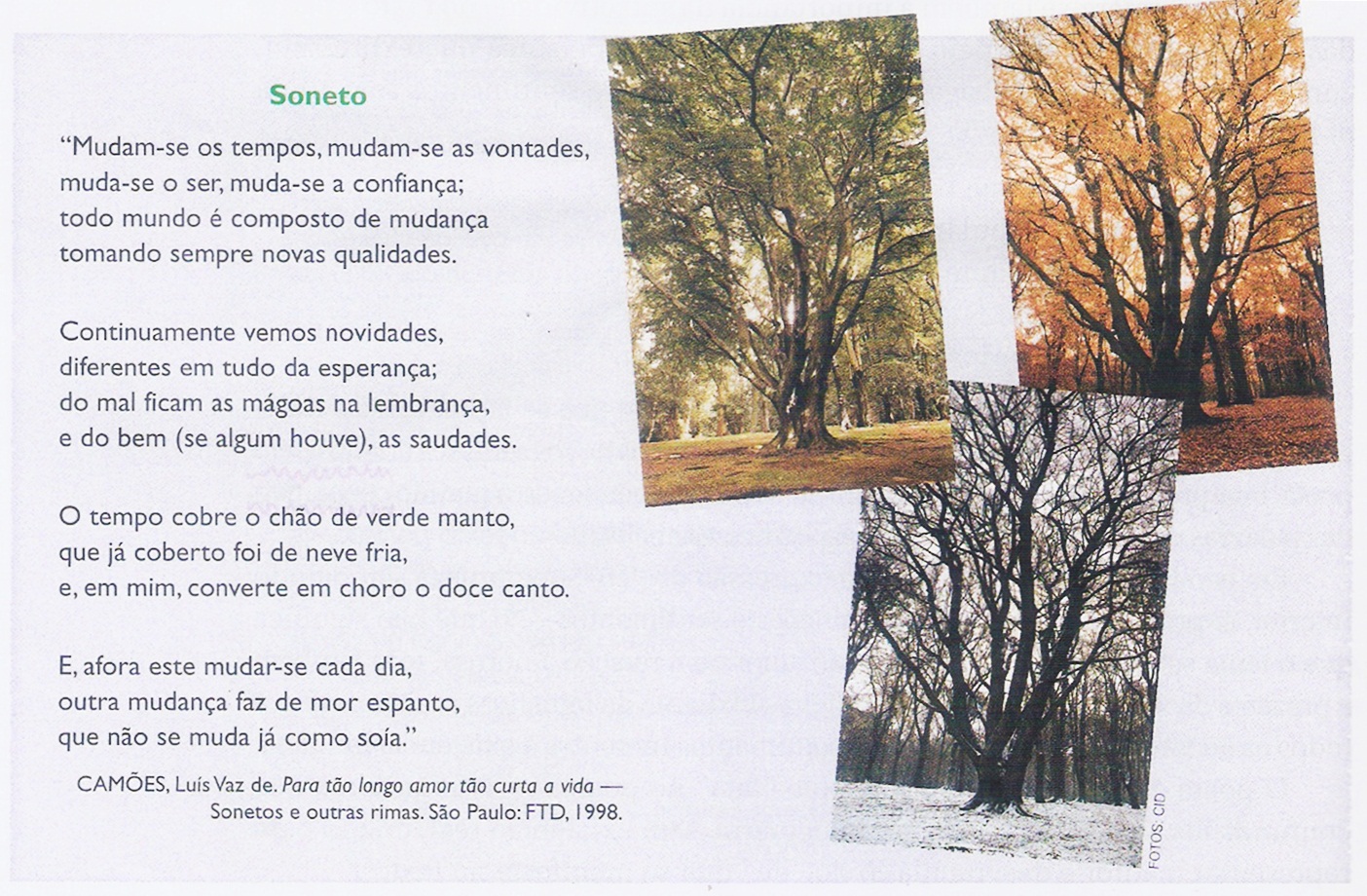 Verso, estrofe e outros elementos do poema ~ Tudo Sobre Redação