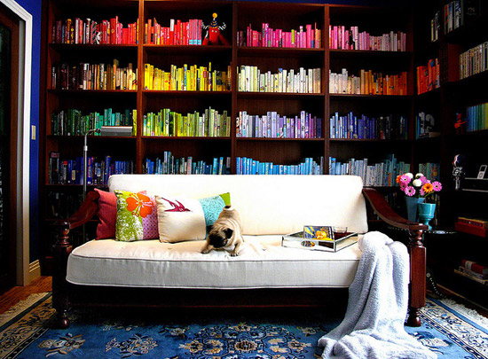 angenuity: Organization: Color code your bookshelf