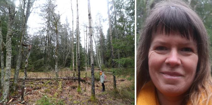 Sara slåss för att rädda skogen - Saras Eviga